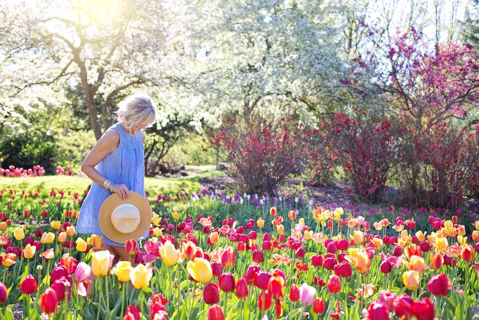Top 7 Tips to Prepare Your Garden for Spring Season - Cooks Home Center